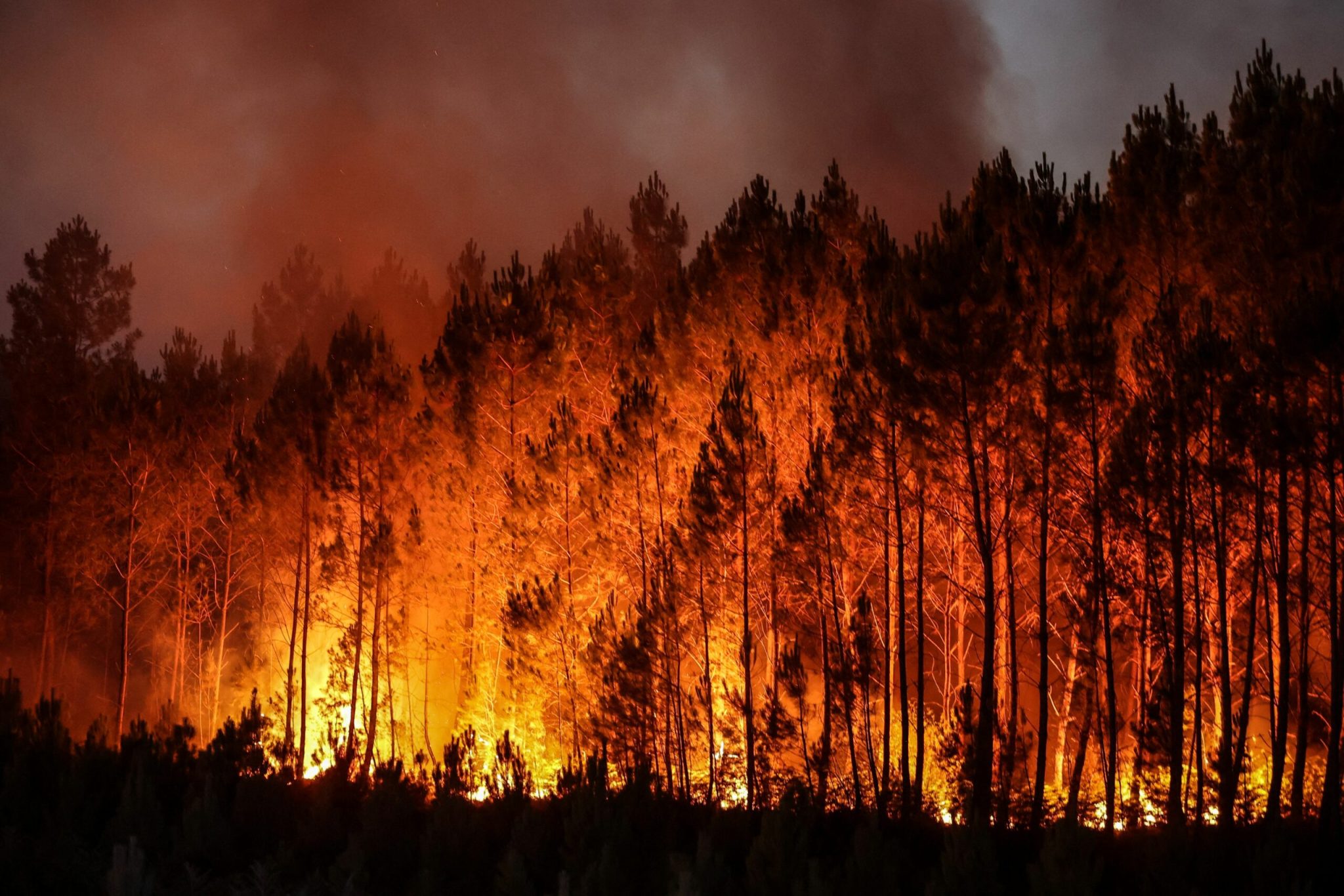 How to Help Prevent Forest Fires