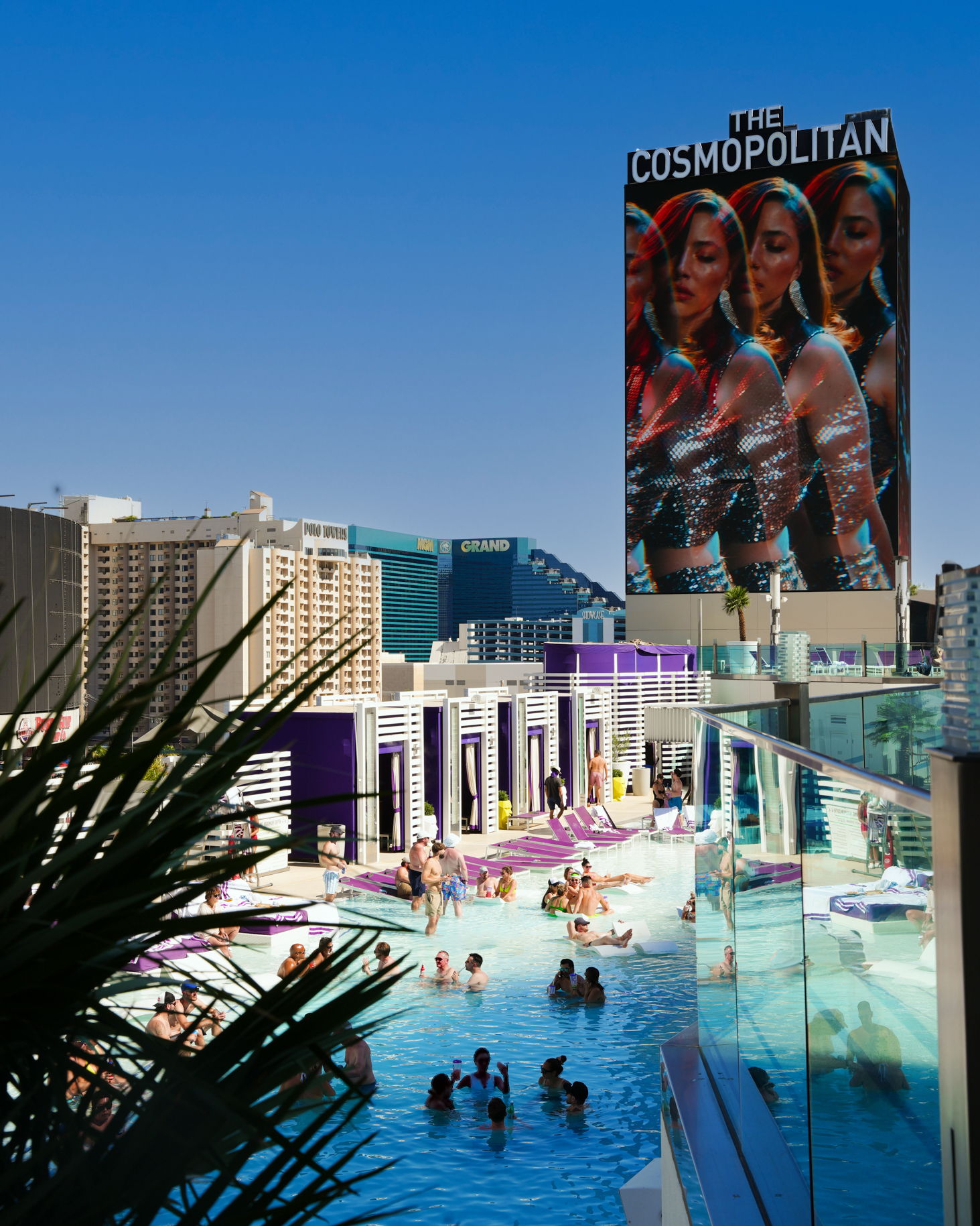 The Ultimate Poolside Escape: The Cosmopolitan Pool in Las Vegas